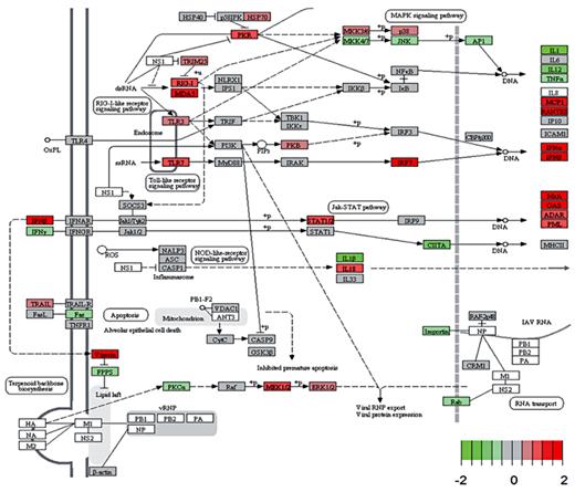 Deletion of Irf3 and Irf7 Genes in Mice Results in Altered Interferon ...