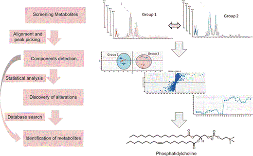 An Emerging Role for Metabolomics in Nutrition Science | Journal of ...