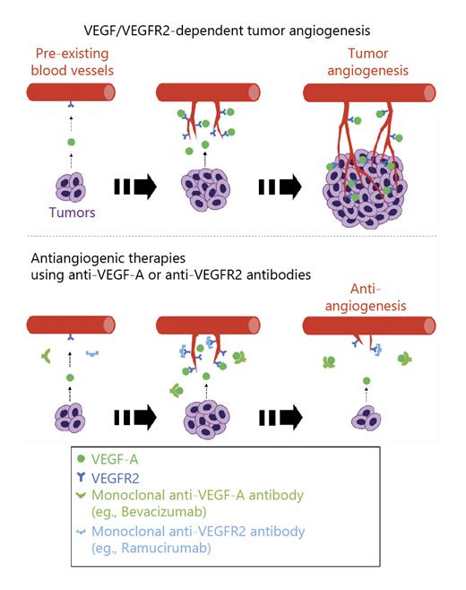 VEGF-Independent Angiogenic Factors: Beyond VEGF/VEGFR2 Signaling ...