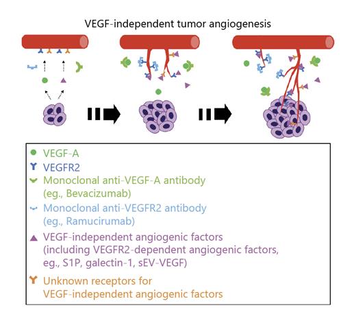 VEGF-Independent Angiogenic Factors: Beyond VEGF/VEGFR2 Signaling ...