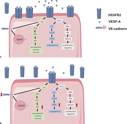 Metabolic Syndrome and Cardiac Vessel Remodeling Associated with Vessel ...