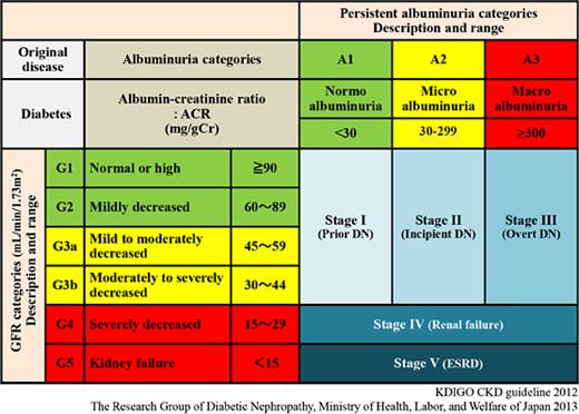 Pathogenesis and Treatment of Chronic Kidney Disease: A Review of Our ...