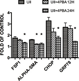 Urotensin II Induces ER Stress and EMT and Increase Extracellular ...