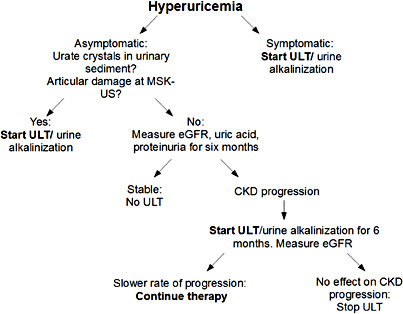 Urate-Lowering Agents in Asymptomatic Hyperuricemia: Role of Urine ...