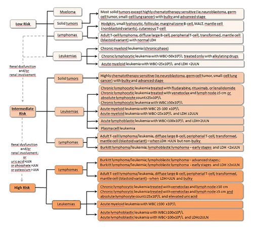 Prevention and Treatment of Tumor Lysis Syndrome in the Era of Onco ...