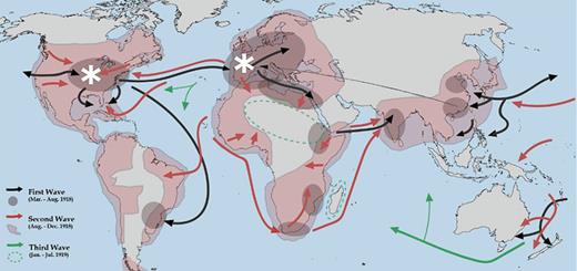 The 1918 Influenza Pandemic: Back to the Future? | Kidney and Blood ...