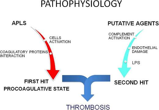 Antiphospholipid Syndrome and Kidney Involvement | Kidney and Blood ...