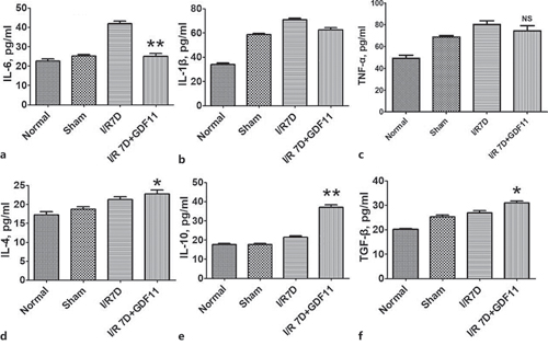 GDF11 Improves Ischemia-Reperfusion-Induced Acute Kidney Injury via ...