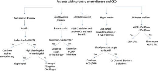 The Treatment of Coronary Artery Disease in Patients with Chronic ...