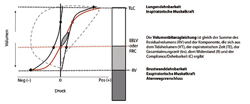 Lungenfunktionstest: Einfache Interpretation in drei Schritten ...