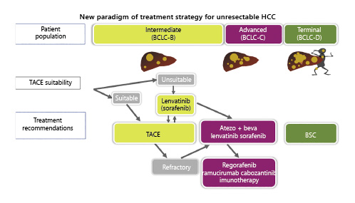 Management of Hepatocellular Carcinoma in Japan: JSH Consensus Statements and Recommendations ...