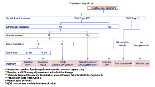 Management of Hepatocellular Carcinoma in Japan: JSH Consensus ...