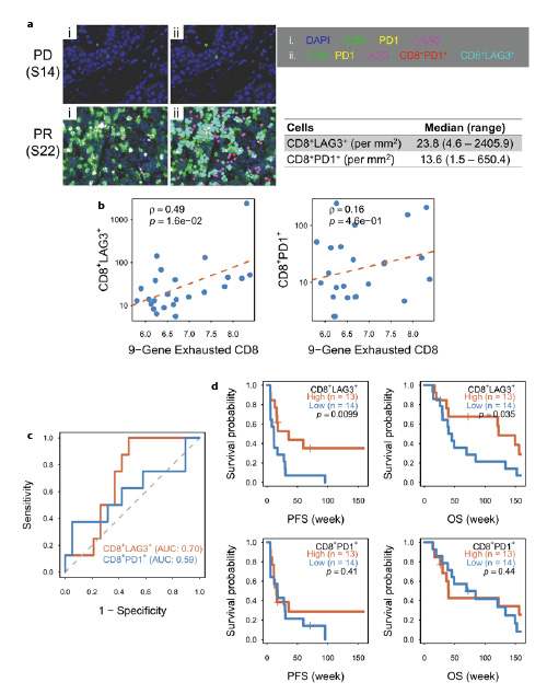 Exploring Markers of Exhausted CD8 T Cells to Predict Response to ...