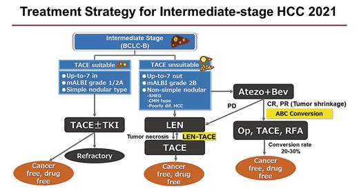 A Novel Treatment Strategy for Patients with Intermediate-Stage HCC Who ...
