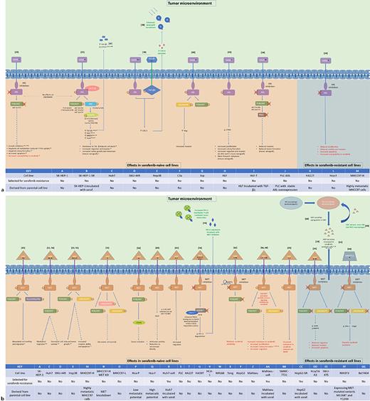AXL and MET in Hepatocellular Carcinoma: A Systematic Literature Review ...