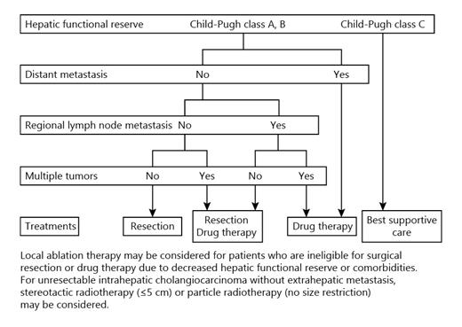 Liver Cancer Study Group of Japan Clinical Practice Guidelines for Intrahepatic ...