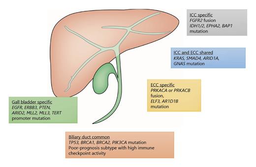 Liver Cancer Study Group of Japan Clinical Practice Guidelines for ...