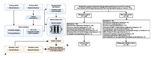 Tumor Radiomic Features on Pretreatment MRI to Predict Response to ...