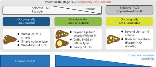 Achievement of Complete Response and Drug-Free Status by Atezolizumab ...