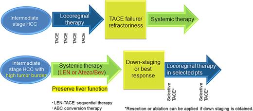 All Stages of Hepatocellular Carcinoma Patients Benefit from Systemic ...