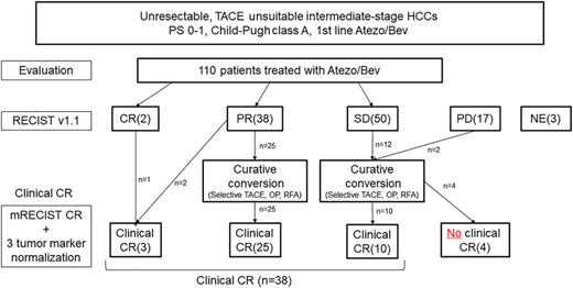 Current Therapeutic Strategies for Hepatocellular Carcinoma in Japan ...