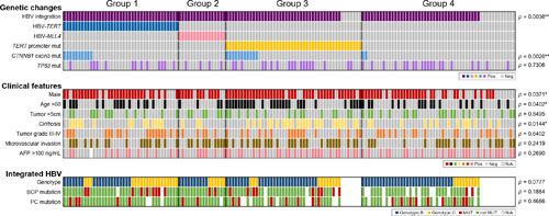 HBV DNA Integration into Telomerase or MLL4 Genes and TERT Promoter Point Mutation as Three ...