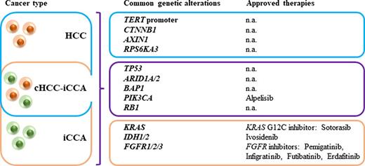 Combined Hepatocellular-Cholangiocarcinoma: Biology, Diagnosis, and Management | Liver Cancer ...