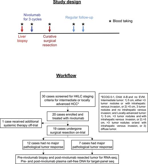 Multimodal Integrative Genomics and Pathology Analyses in Neoadjuvant ... Multimodal Integrative Genomics and Pathology Analyses in Neoadjuvant ...