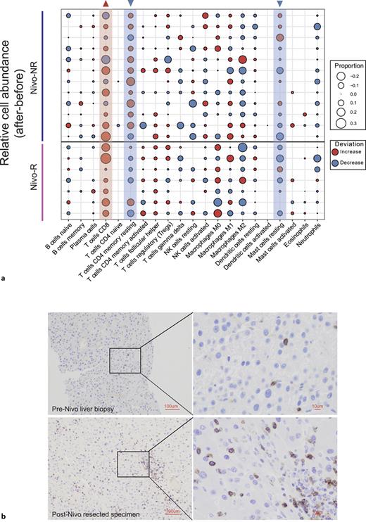 Multimodal Integrative Genomics and Pathology Analyses in Neoadjuvant ...