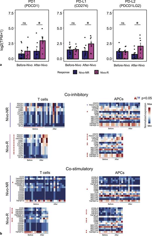 Multimodal Integrative Genomics and Pathology Analyses in Neoadjuvant ...
