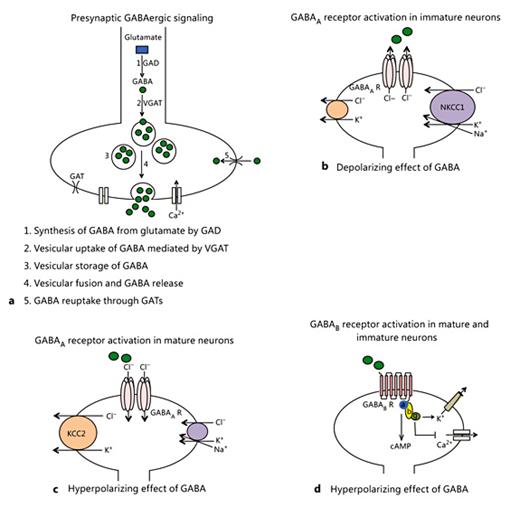 Epigenetic Regulations of GABAergic Neurotransmission: Relevance for ...