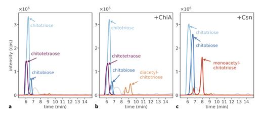 Chitin, Chitin Oligosaccharide, and Chitin Disaccharide Metabolism of ...