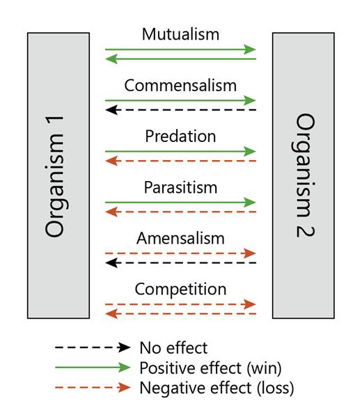 Bacterial Predation on Cyanobacteria | Microbial Physiology | Karger ...