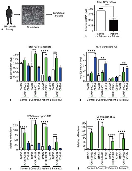 WNT/β-Catenin Pathway and Epigenetic Mechanisms Regulate the Pitt ...
