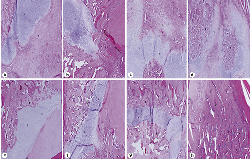 A Comparison of the Effects of Grayanotoxin-Containing Honey (Mad Honey ...