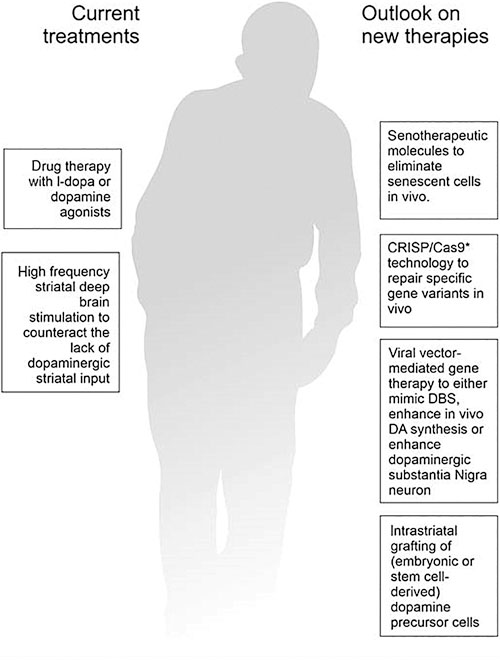 Parkinson’s Disease: A Tale of Many Players | Medical Principles and ...
