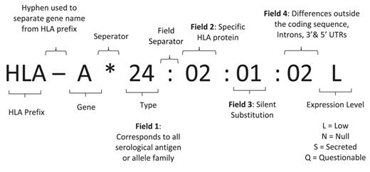 Advancements in HLA Typing Techniques and Their Impact on ...