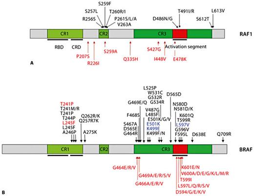 Noonan Syndrome: Clinical Aspects and Molecular Pathogenesis | Molecular Syndromology | Karger ...