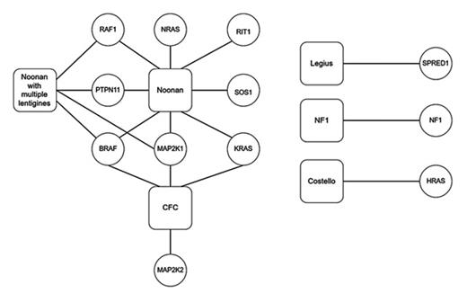 RASopathies: Presentation at the Genome, Interactome, and Phenome ...