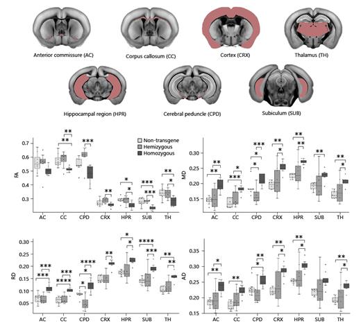 Diffusion Tensor Imaging Reveals Whole-Brain Microstructural Changes in ...