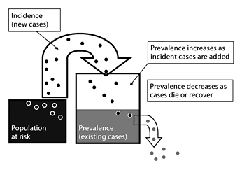 Measures of Disease Frequency: Prevalence and Incidence | Nephron ...