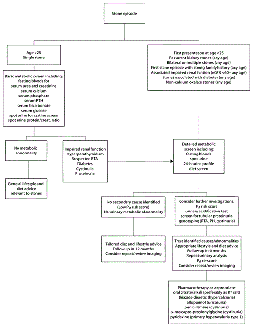 An Update and Practical Guide to Renal Stone Management | Nephron ...