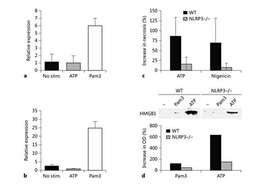 Regulation of TLR2 and NLRP3 in Primary Murine Renal Tubular Epithelial ...