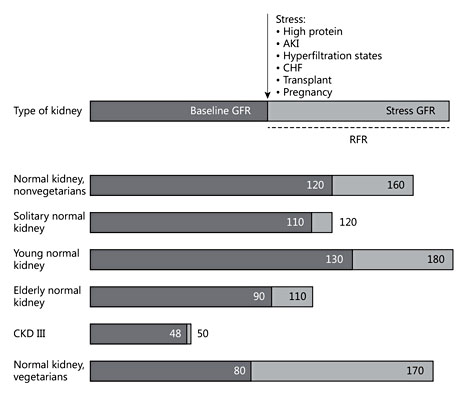 Renal Functional Reserve and Renal Recovery after Acute Kidney Injury ...