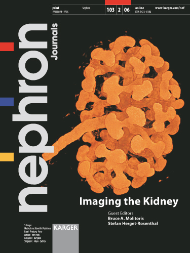 Magnetic Resonance Imaging in Acute and Chronic Kidney Diseases ...