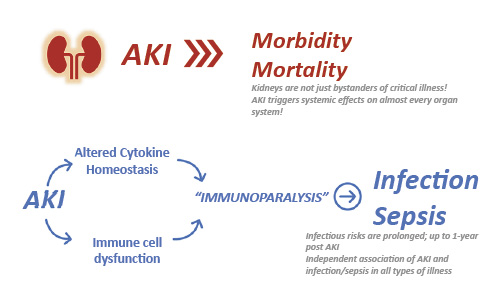 Infection Post-AKI: Should We Worry? | Nephron | Karger Publishers