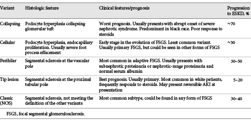 Focal Segmental Glomerulosclerosis: State-of-the-Art and Clinical ...