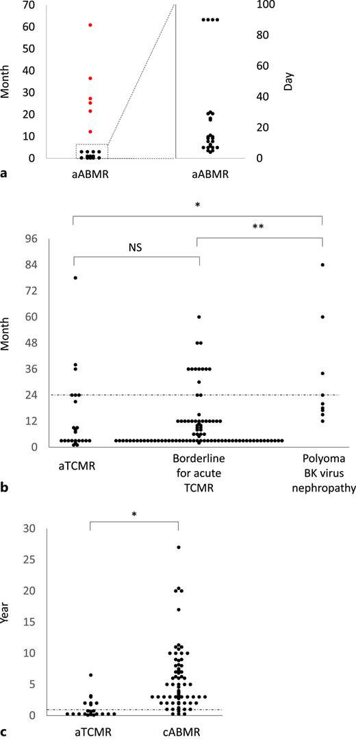 The Chronology of Renal Allograft Dysfunction: The Pathological ...