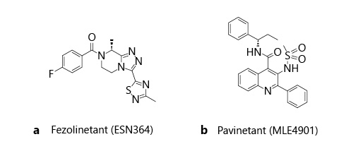 Neurokinin 3 Receptor Antagonism: A Novel Treatment for Menopausal Hot ...