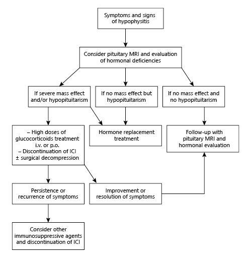Hypophysitis (Including IgG4 and Immunotherapy) | Neuroendocrinology ...